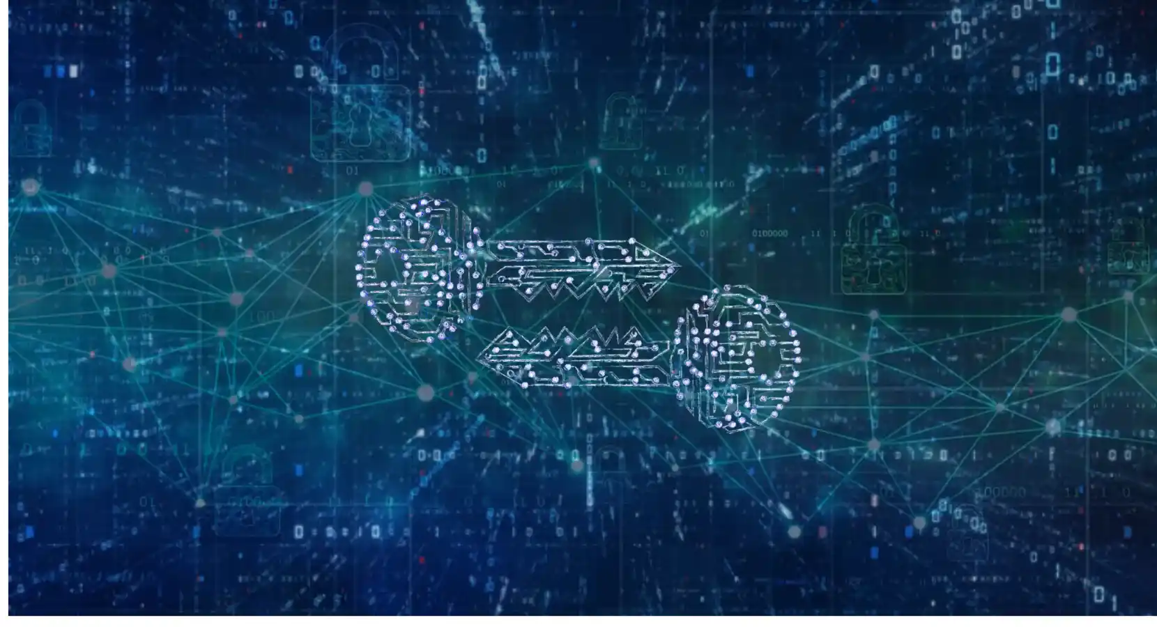 5 Post-Quantum Encryption Algorithms Ensuring Data Safety 5 Post-Quantum Encryption Algorithms Ensuring Data Safety