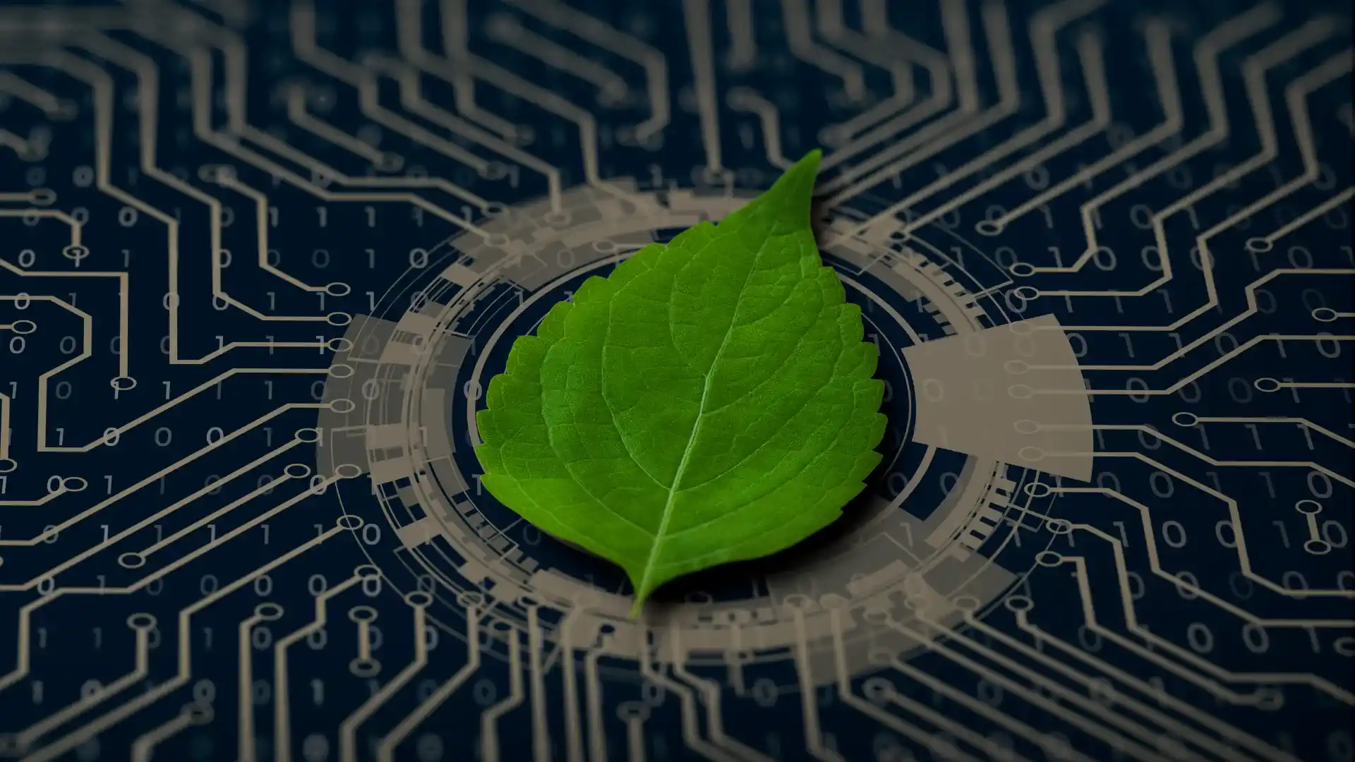Green AI Companies in 2026: The Proven Blueprint for Building Powerful ...